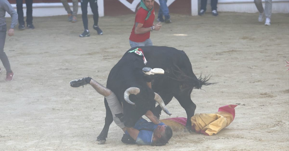 Los Barrios celebra la fiesta del Toro Embolao con la plaza de La ...