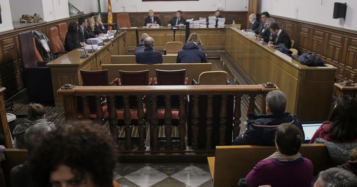 Los peritos rebaten los informes de UDEF y la IGAE en el juicio de las ...