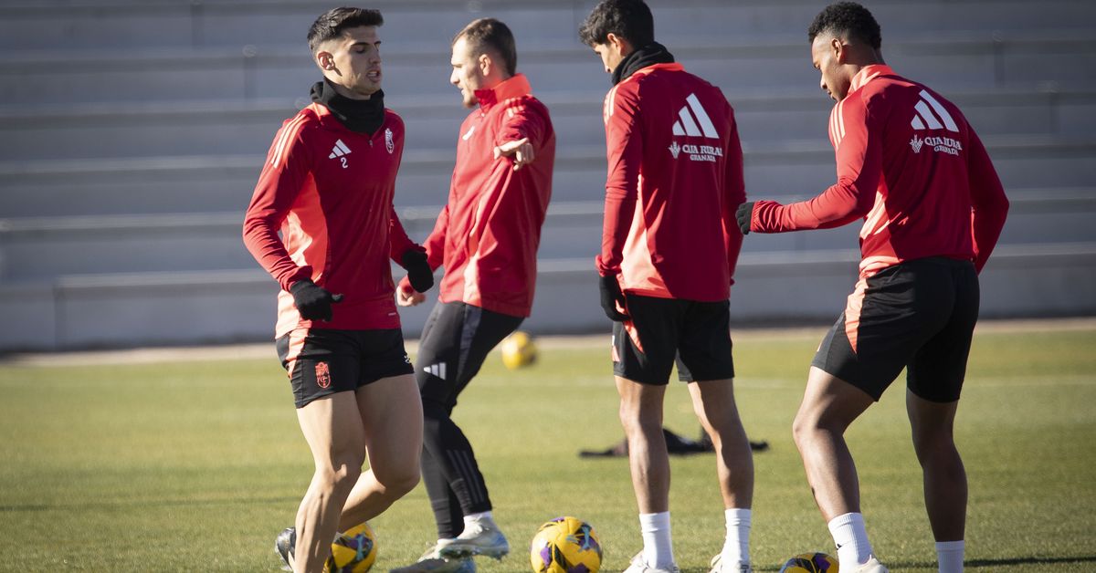 Brau volverá a estar disponible con el Granada contra el Cartagena