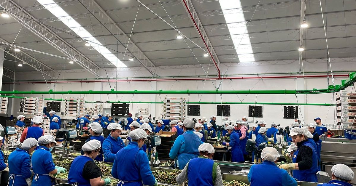 Cosafra, la cooperativa de Granada que factura doce millones y exporta ...