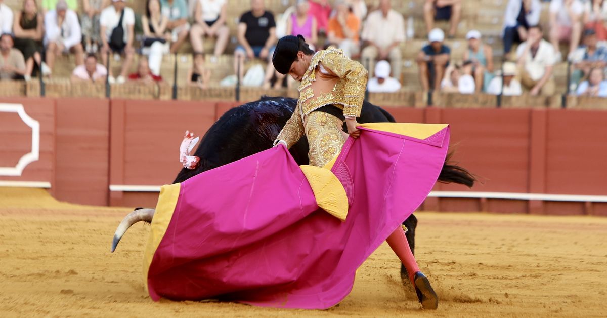 Novillada El Melli, Aarón Palacios y Manuel Jesús Carrión