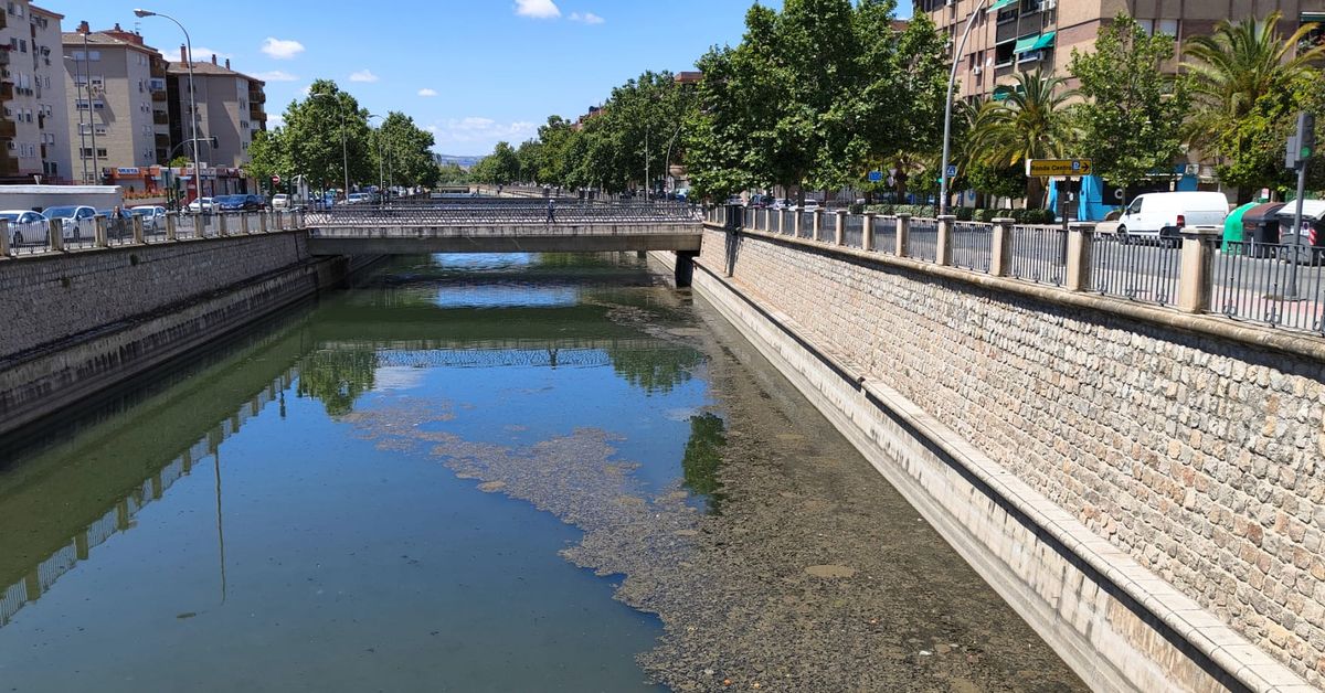La renaturalización del río Genil a su paso por Granada vuelve a escena ...
