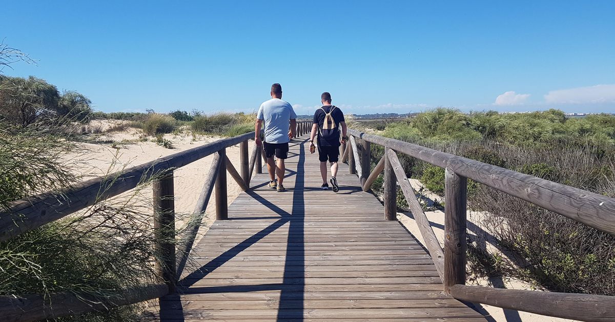 Una ruta nocturna por la Punta del Boquerón para disfrutar del ...