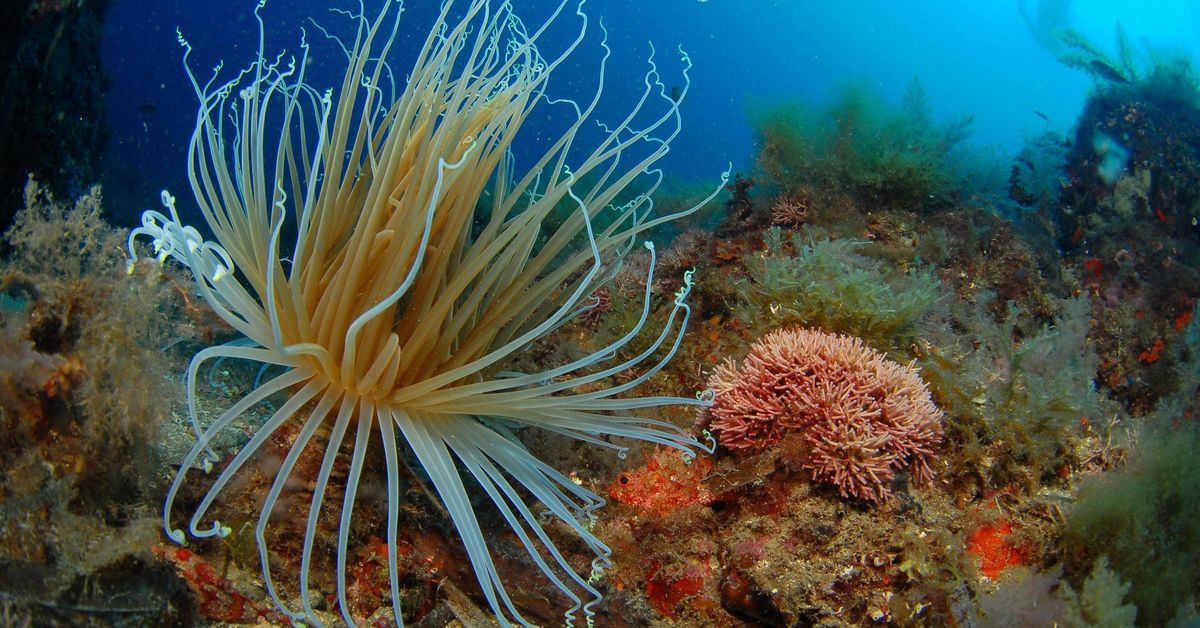 Ecologistas alertan de la 'sopa química', la contaminación 'invisible ...