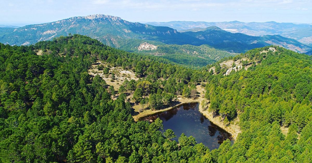 Conoce los dos municipios de Jaén que ostentarán la Capital Española de ...