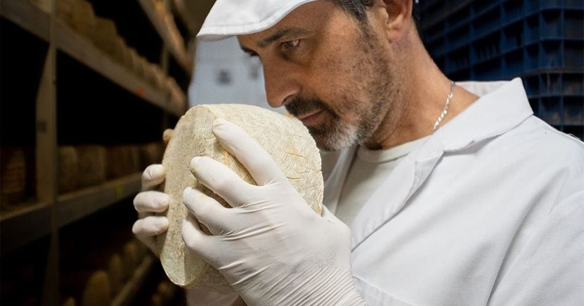 Granada triunfa en los Oscar de los quesos: los premiados en los World ...