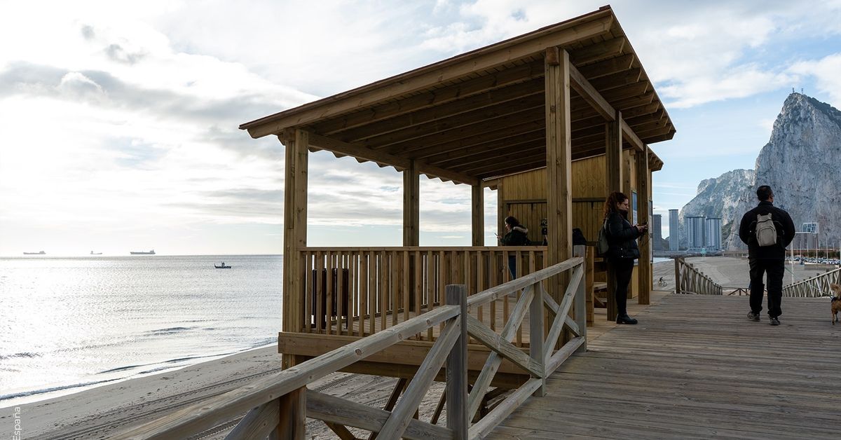 La Línea inaugura el nuevo punto de avistamiento de cetáceos en la ...