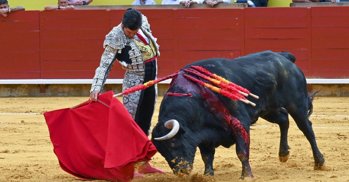 El Ministerio de Cultura elimina el Premio Nacional de Tauromaquia