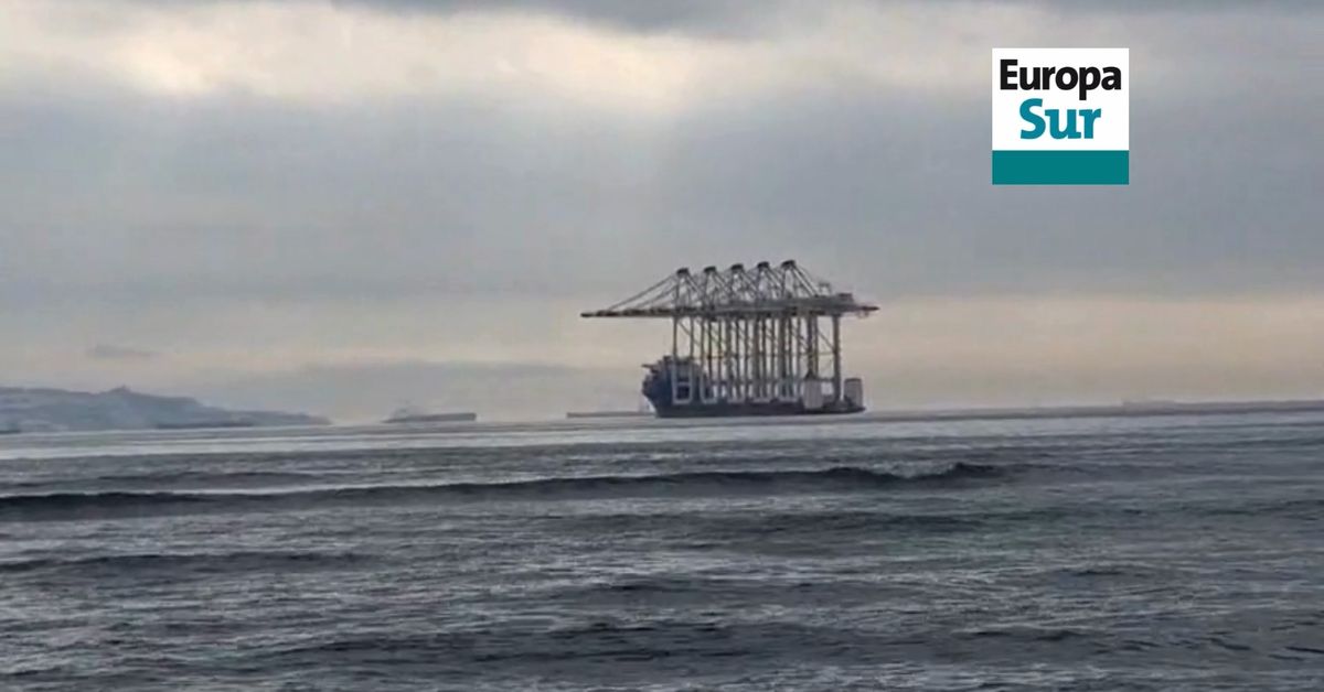 El SeaWay Swan, un gigante noruego con cinco grúas portainers a bordo ...