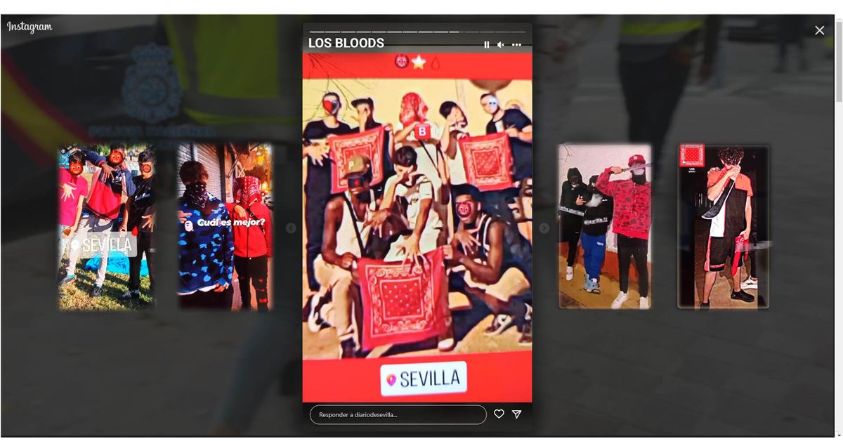 Quiénes son los Blood, la violenta banda que provocaba altercados en la ...