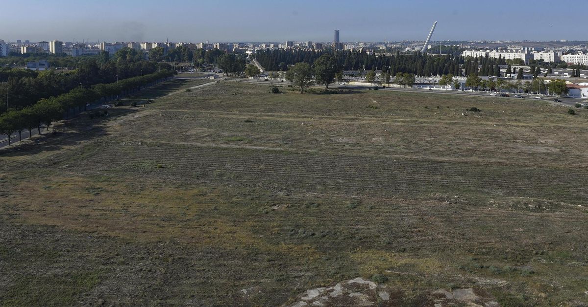 Sanz se escuda en la ley del suelo para reducir las VPO en el nuevo ...