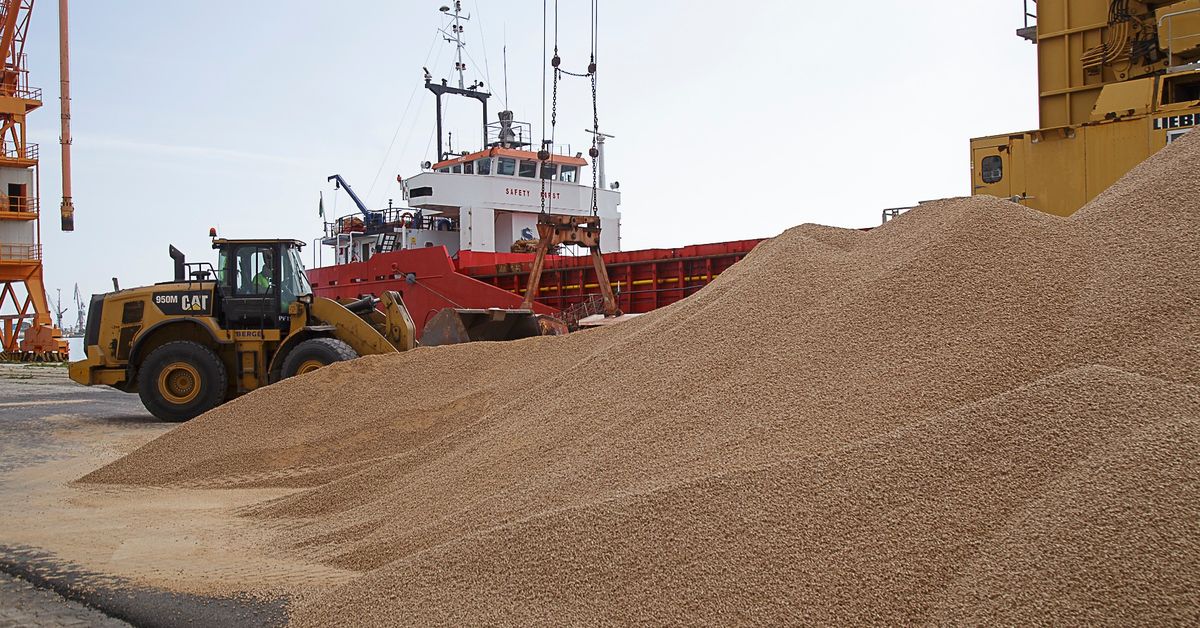 Puerto Real culmina su compromiso con la Autoridad Portuaria para que ...