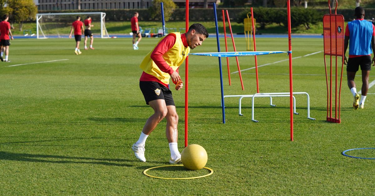 Robertone: "Me encantaría que siguieran Fernando, César y Rubi"