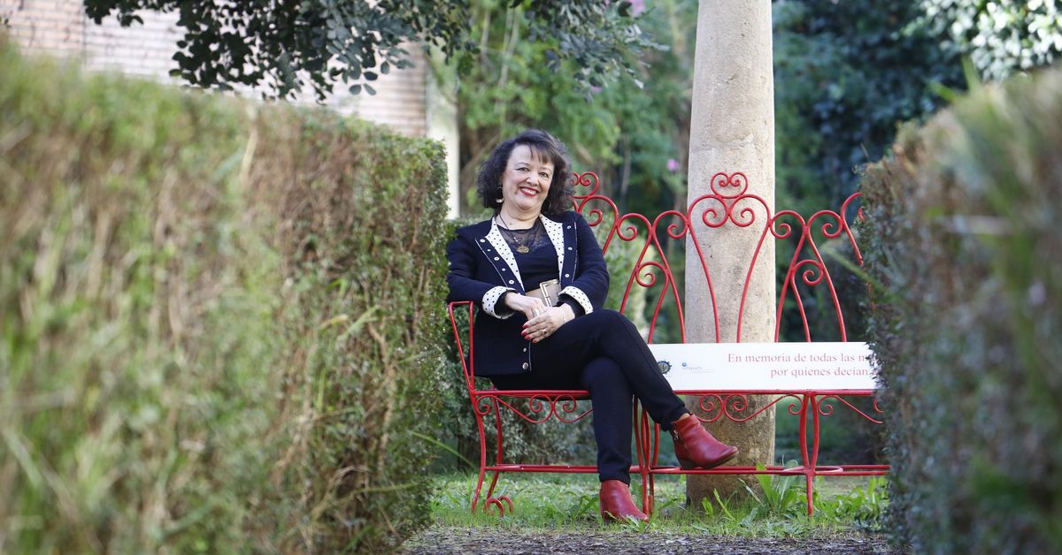 Rafi, la Casa en el Árbol