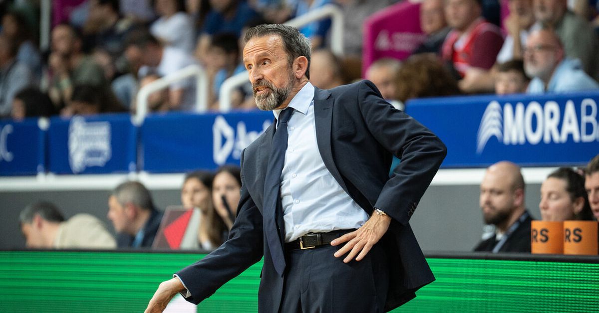 Joan Plaza: "El Covirán Granada ha confiado en la estructura de ...