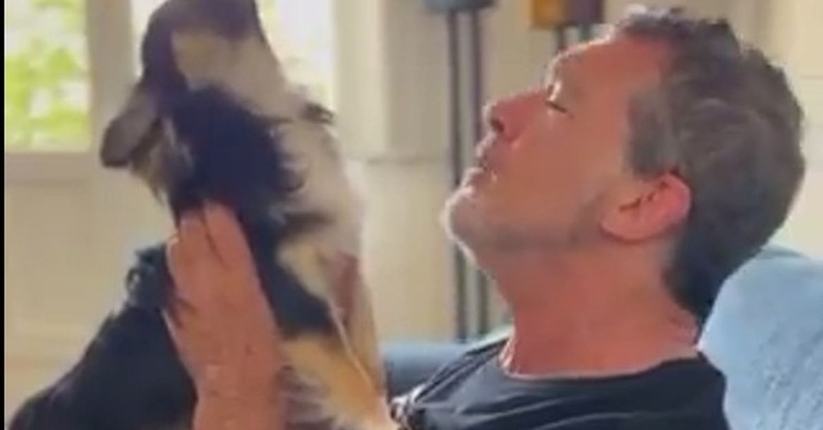 Antonio Banderas cantando con su perro Gypsy: "De vez en cuando, se viene arriba y canturreamos ...