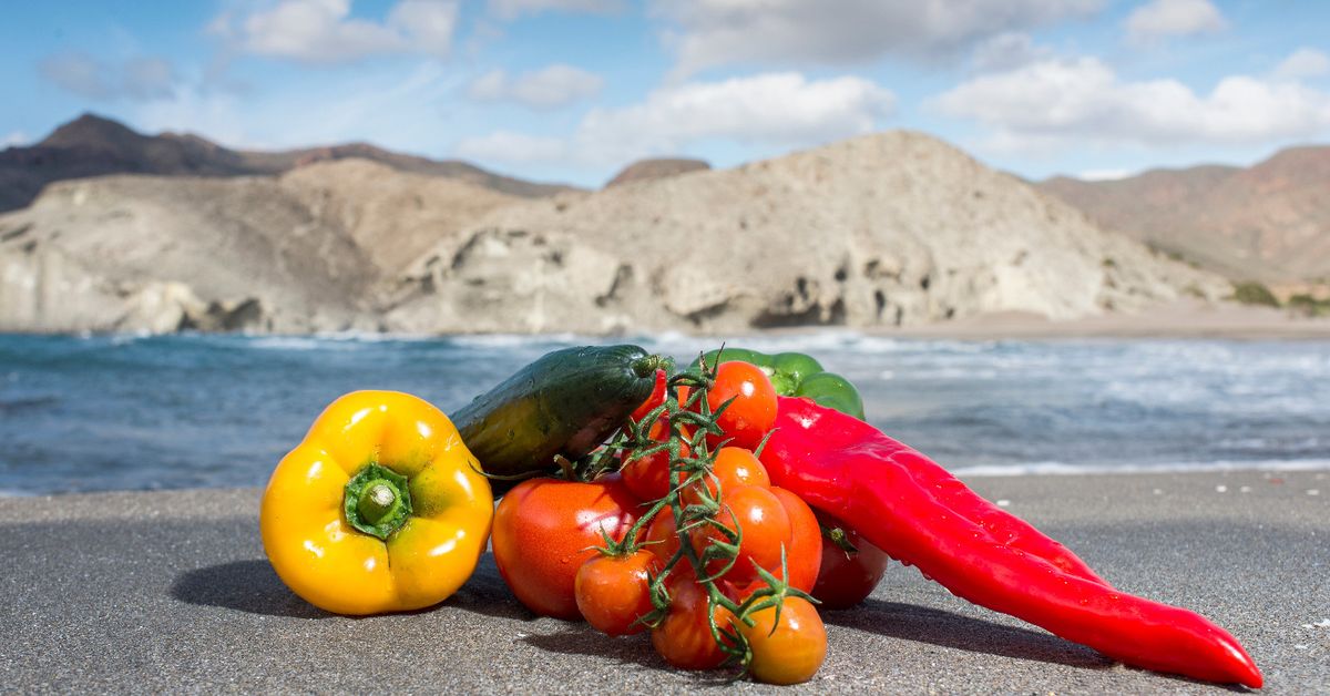 Bio Sol Portocarrero, referente del agro ecológico