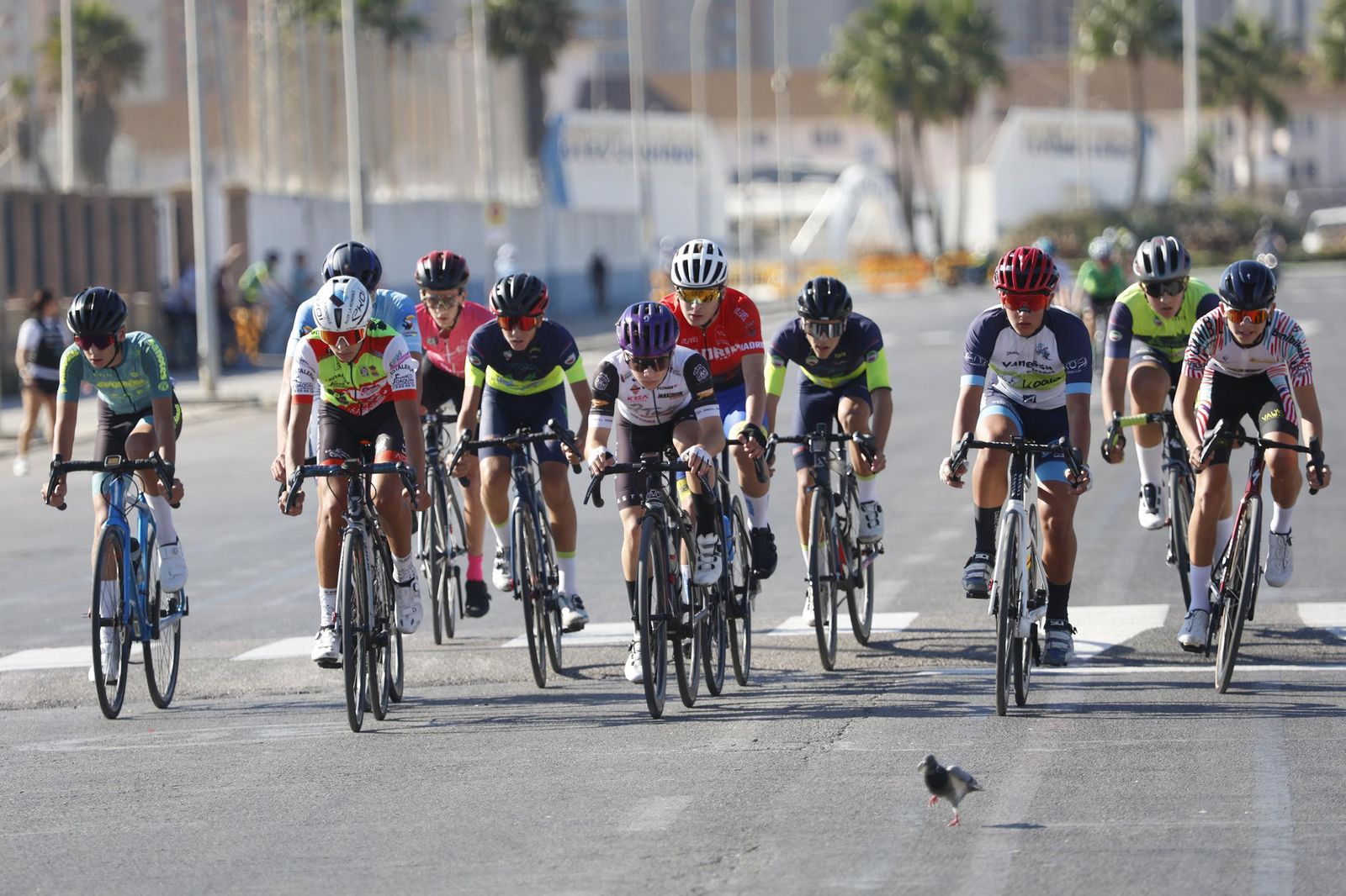 Las fotos del V Giro Ciudad de La Línea de ciclismo