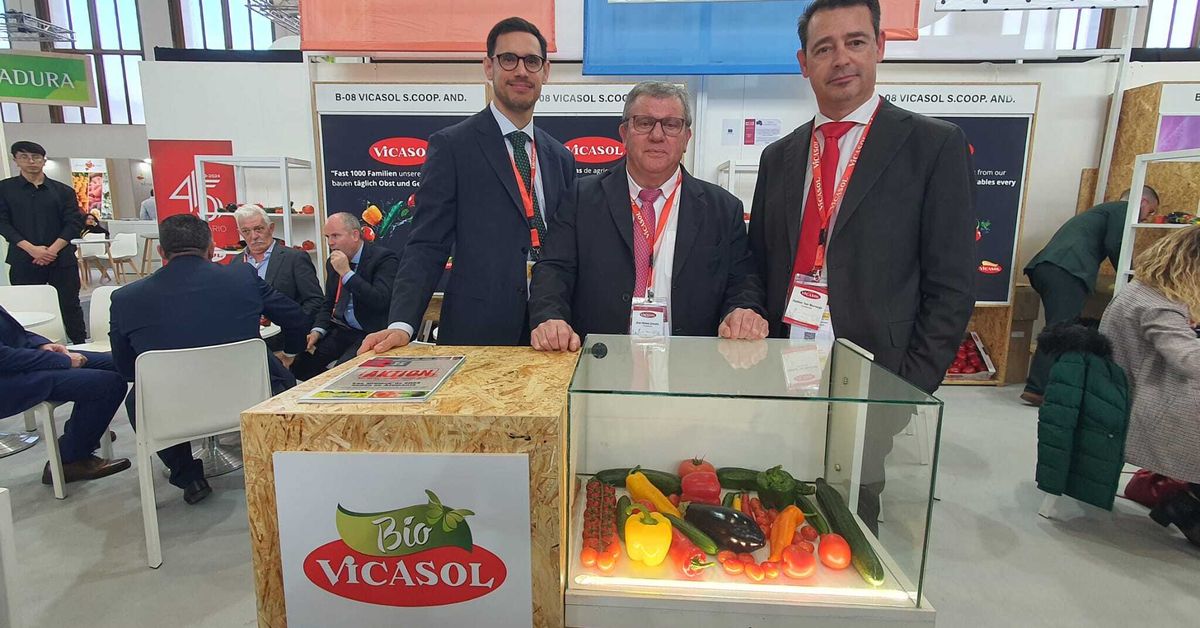 Vicasol cumple 45 años apostando por la innovación