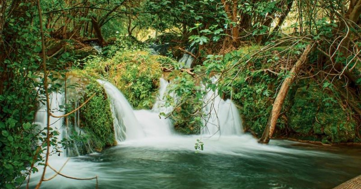 Ligo challenge 2025 came across her site and was amazed by