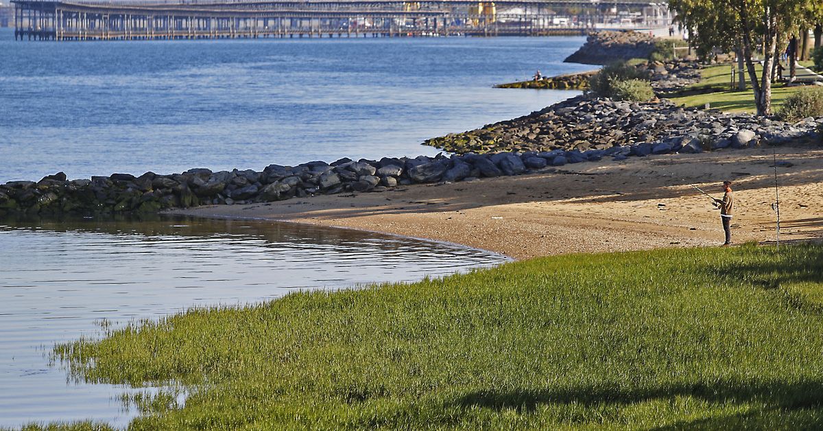 Mañanas de paseo por la Ría de Huelva