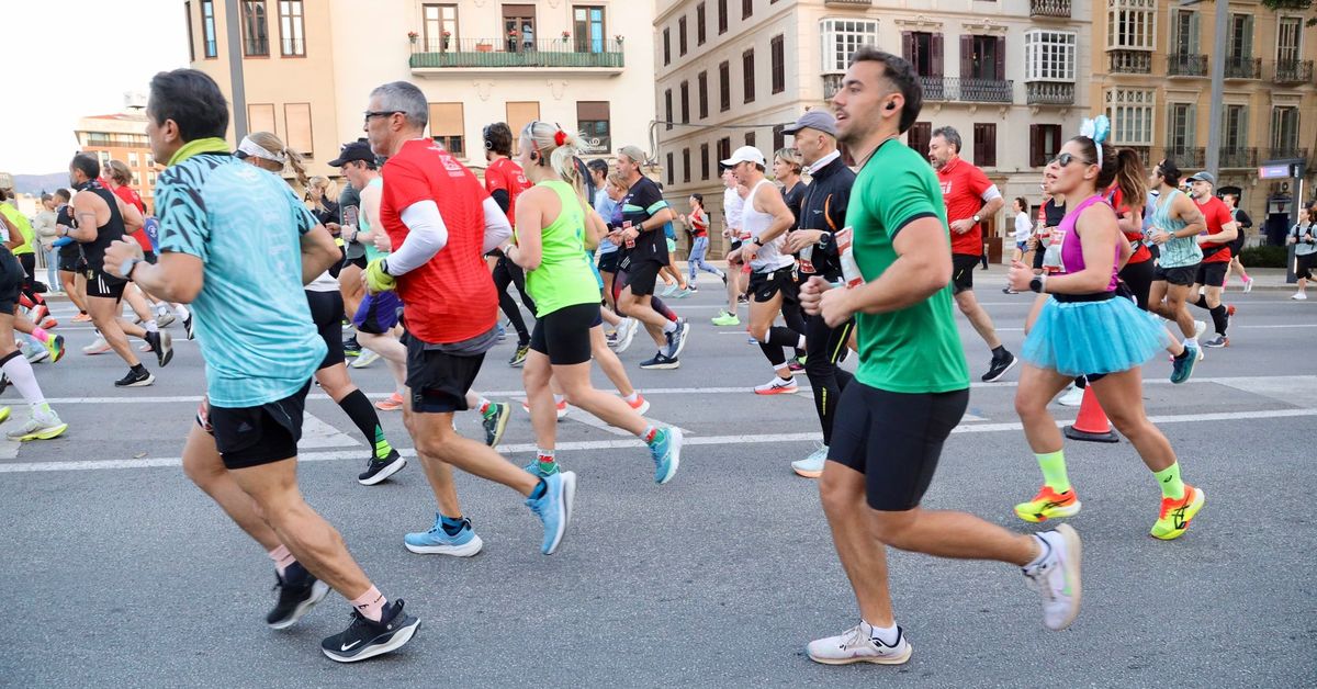 Clasificaciones de la Maratón de Málaga 2024