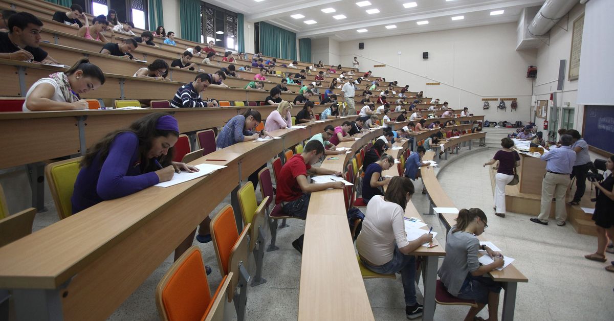 Estos son los grados que puedes estudiar en la Universidad de Cádiz ...