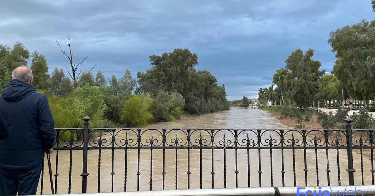 Baja a nivel amarillo la alerta por la crecida del río Genil en Écija