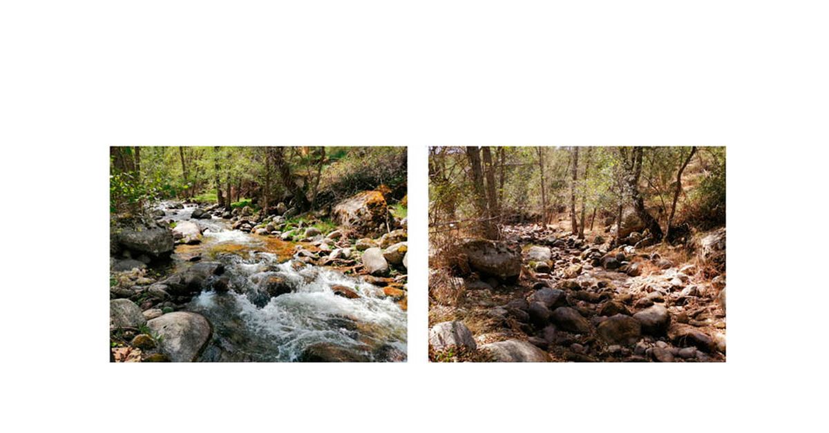 Científicos desentrañan cómo los ecosistemas con fases húmeda y seca ...