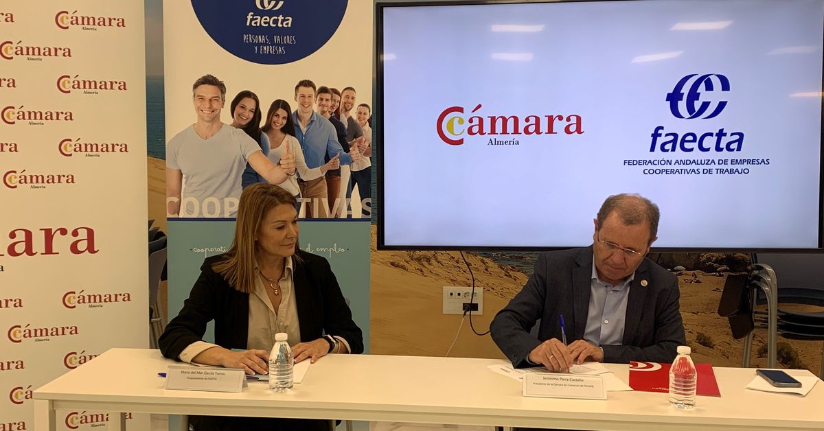 La Cámara y FAECTA firman un convenio de colaboración para impulsar el ...