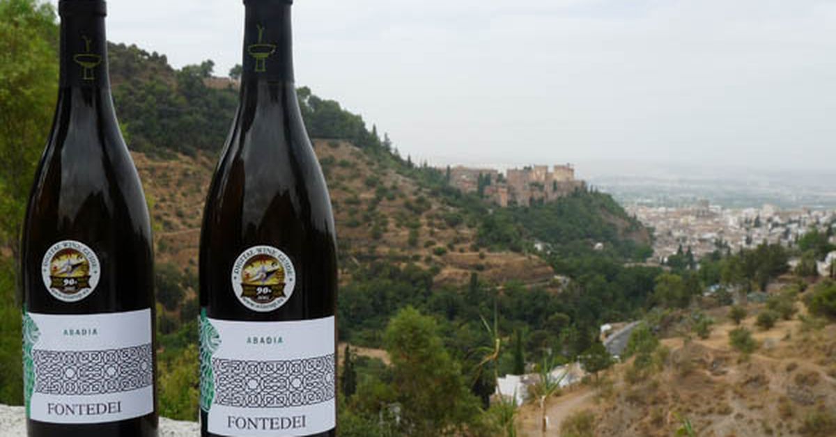 Una bodega de vinos de Granada reconocida como la mejor de Andalucía ...