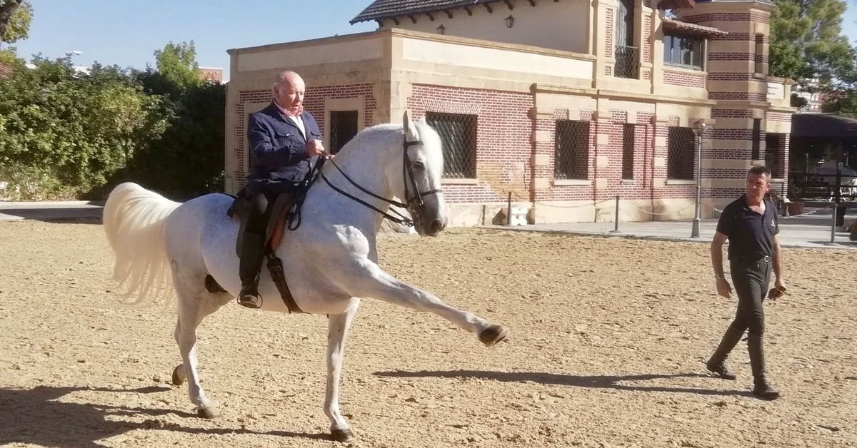 Ignacio Rambla | Jinete de la Real Escuela de Arte Ecuestre: “Me ilusiona que Álvaro Domecq ...