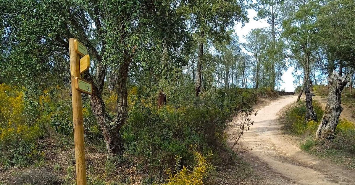 Este sencillo y bello sendero de Fuenteheridos a Los Marines es el ...