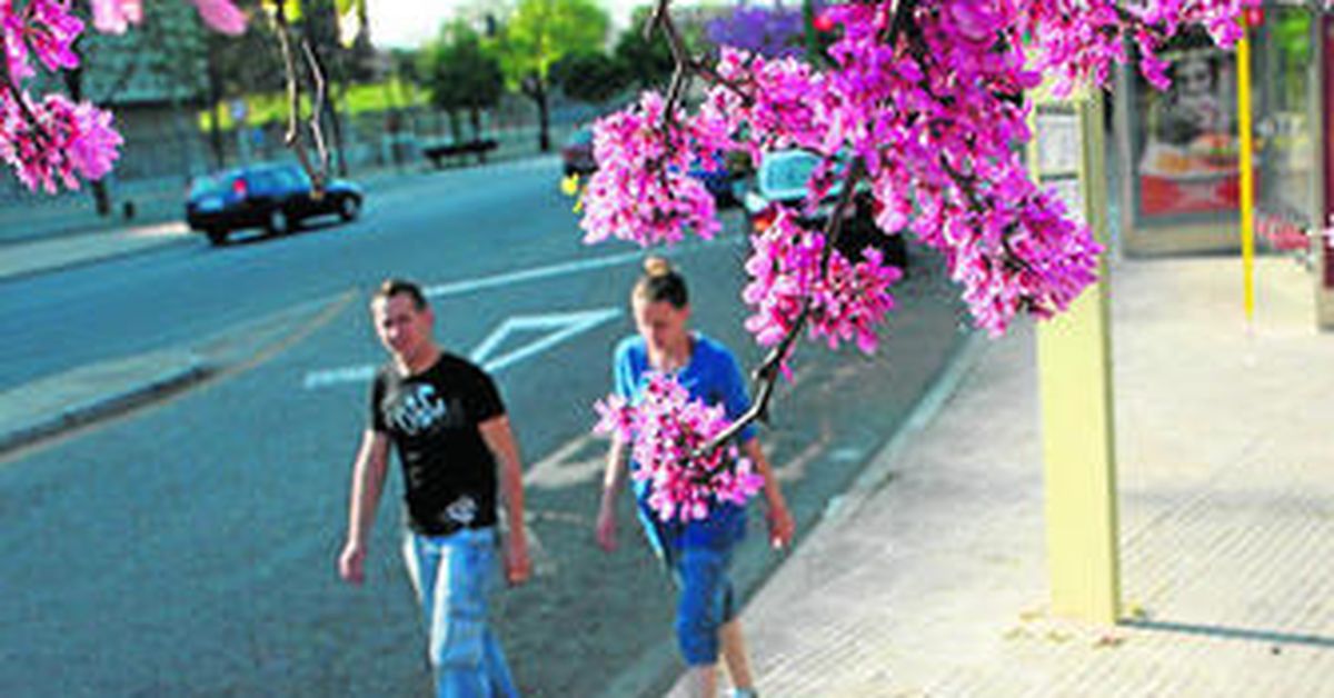 Dejar de fumar reduce los síntomas en personas alérgicas al polen