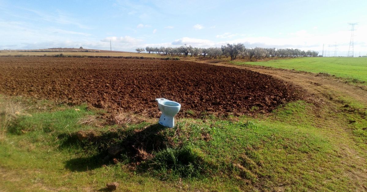 Excusado a campo abierto