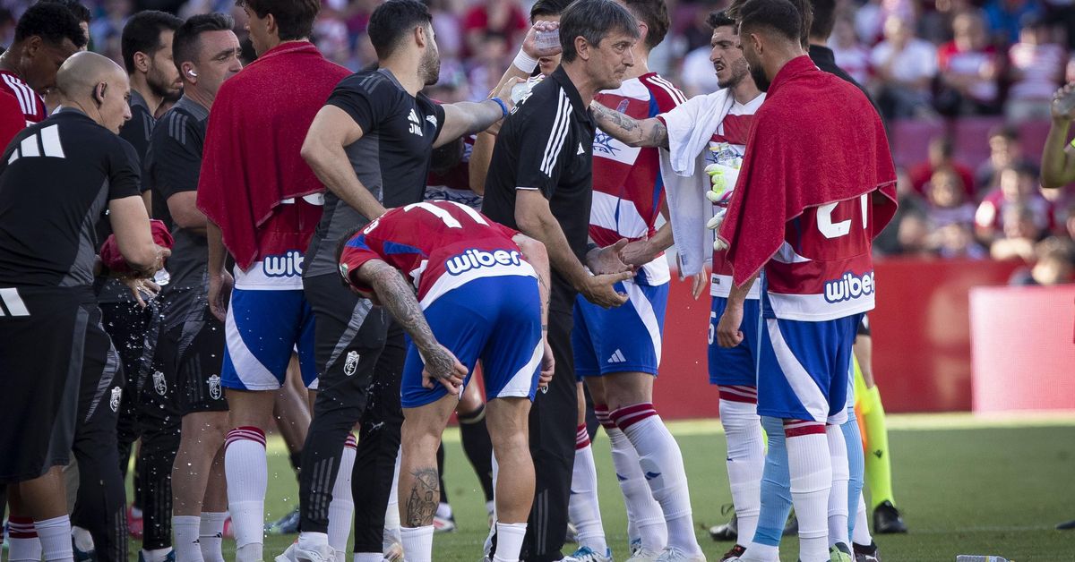 El aire nuevo de Pacheta devuelve las opciones al Granada