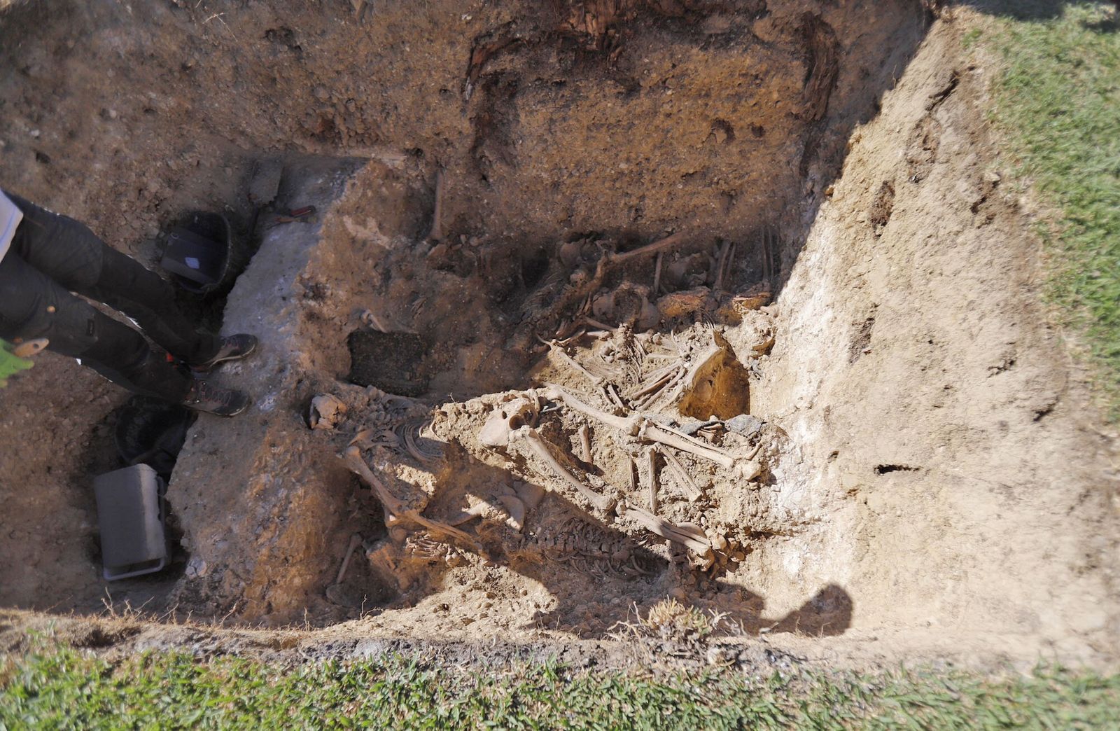 Hallan fosa común con restos de represaliados en el cementerio de Beas