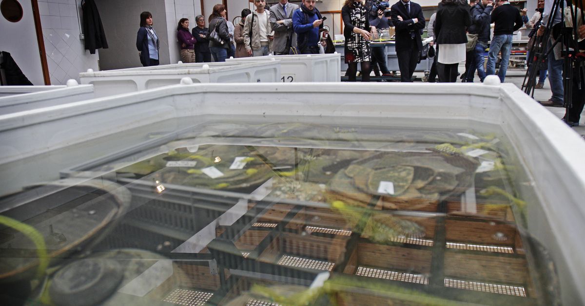 Localizan el primer barco que Drake hundió en Cádiz
