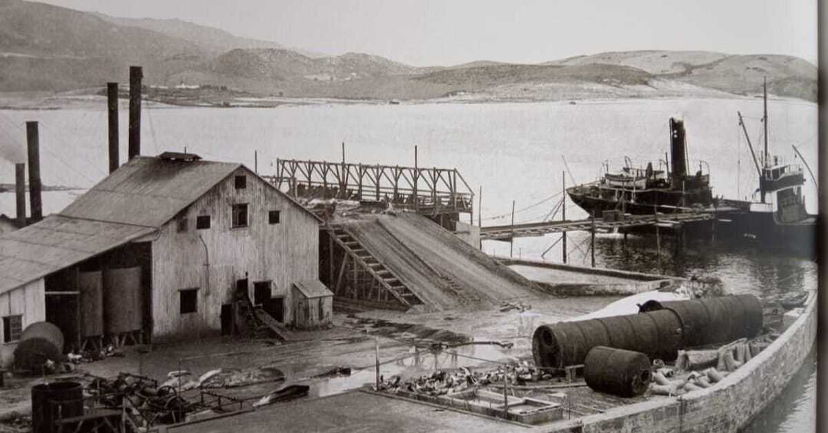 AEPA revindica la recuperación de la antigua Ballenera de Algeciras ...