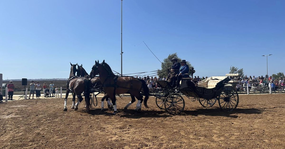 Las Albinas se convierte en una pasarela equina