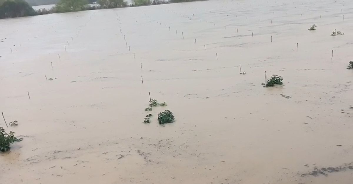 El acceso a Jimena desde Castellar por la A-405, cortado por la ...