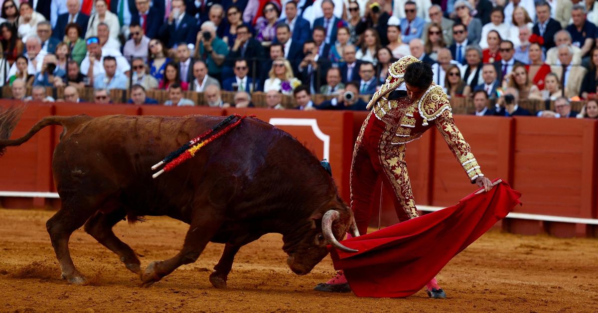 ‘Anárquico’ en todas las quinielas