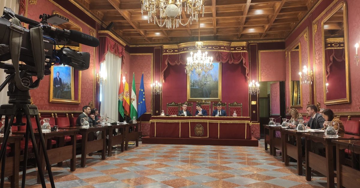 Granada encuentra el resquicio para crear un consorcio para la ...