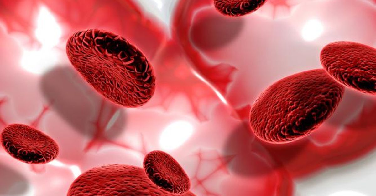 Trombocitopenia inmune: causas, síntomas y soluciones