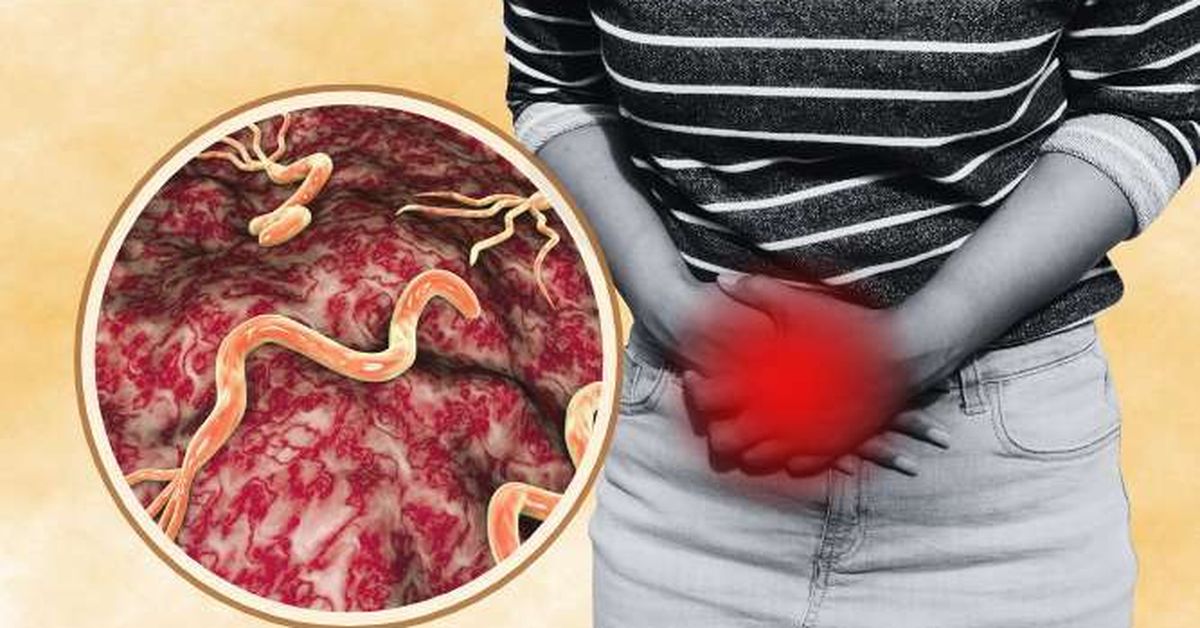 Estas son las cinco bacterias más peligrosas para la OMS: ¿Cómo ...