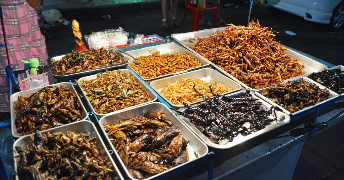 La Unión Europea aprueba la comercialización del grillo como alimento ...