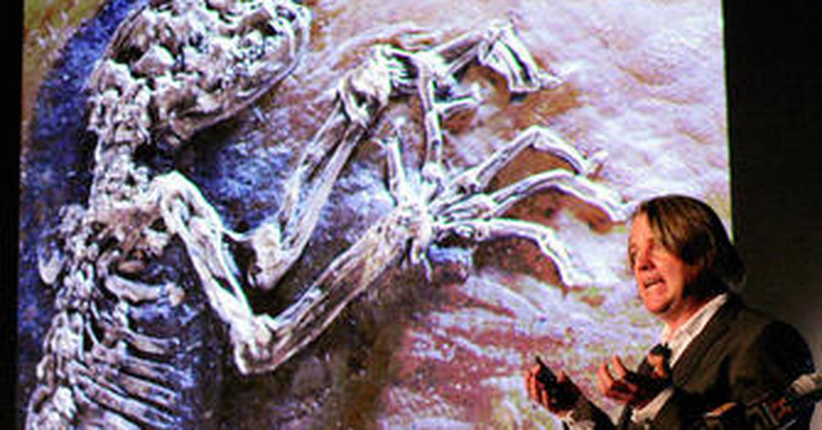 Ida, el primate europeo de 47 millones de años