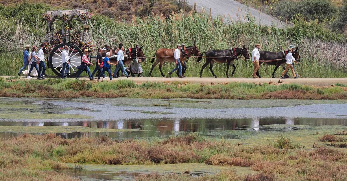 El Rocío 2023: Las Hermandades de Isla Cristina y Ayamonte vuelven a ...