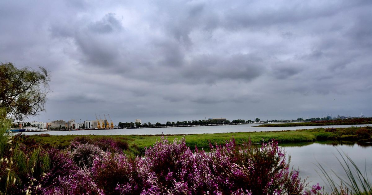 Caída de las temperaturas y llovizna este lunes: cambio brusco en los ...