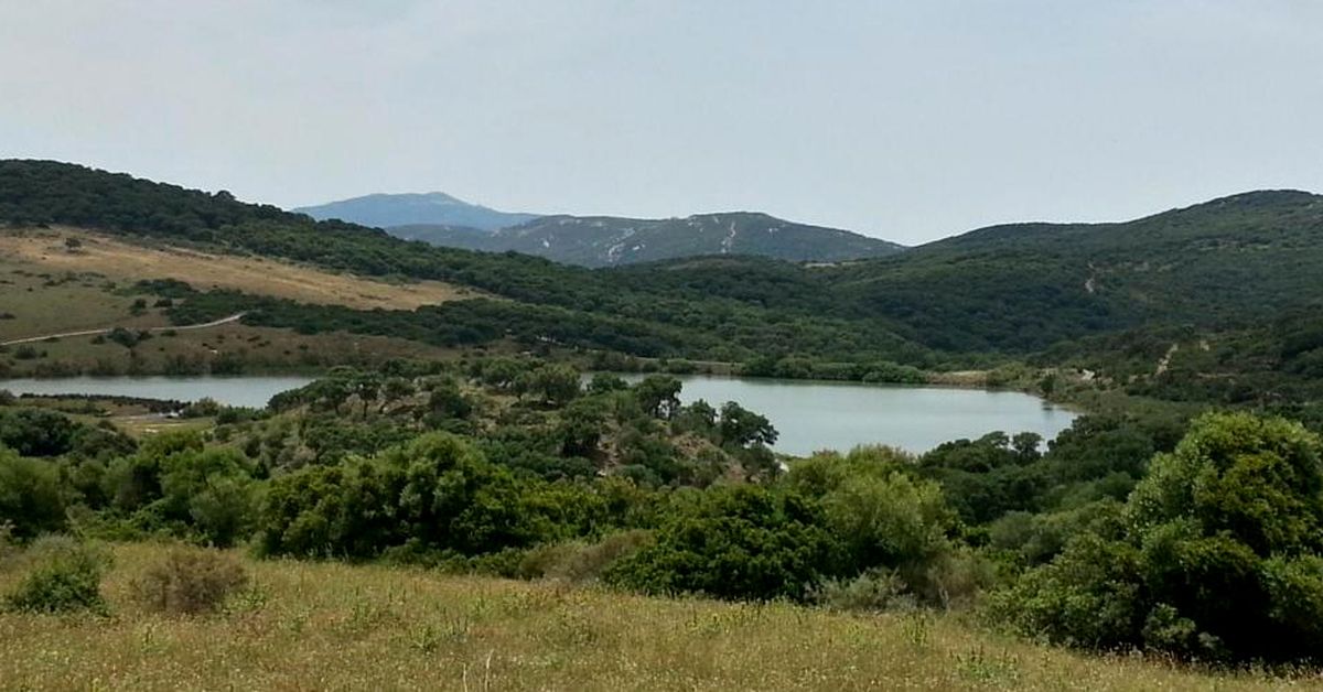 Fernando de Zafra y el repartimiento de Gibraltar en 1502